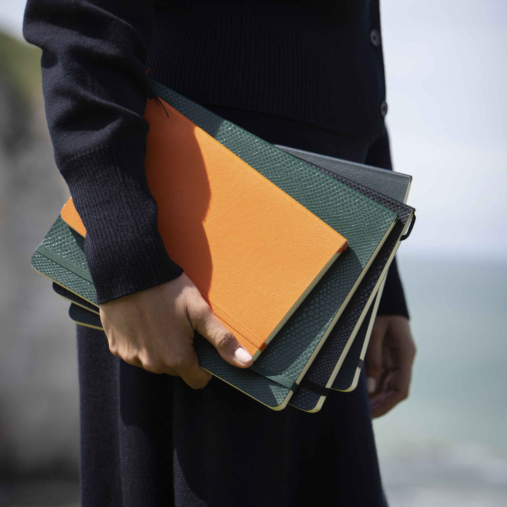 Limited Edition Notebooks and Planners | Moleskine