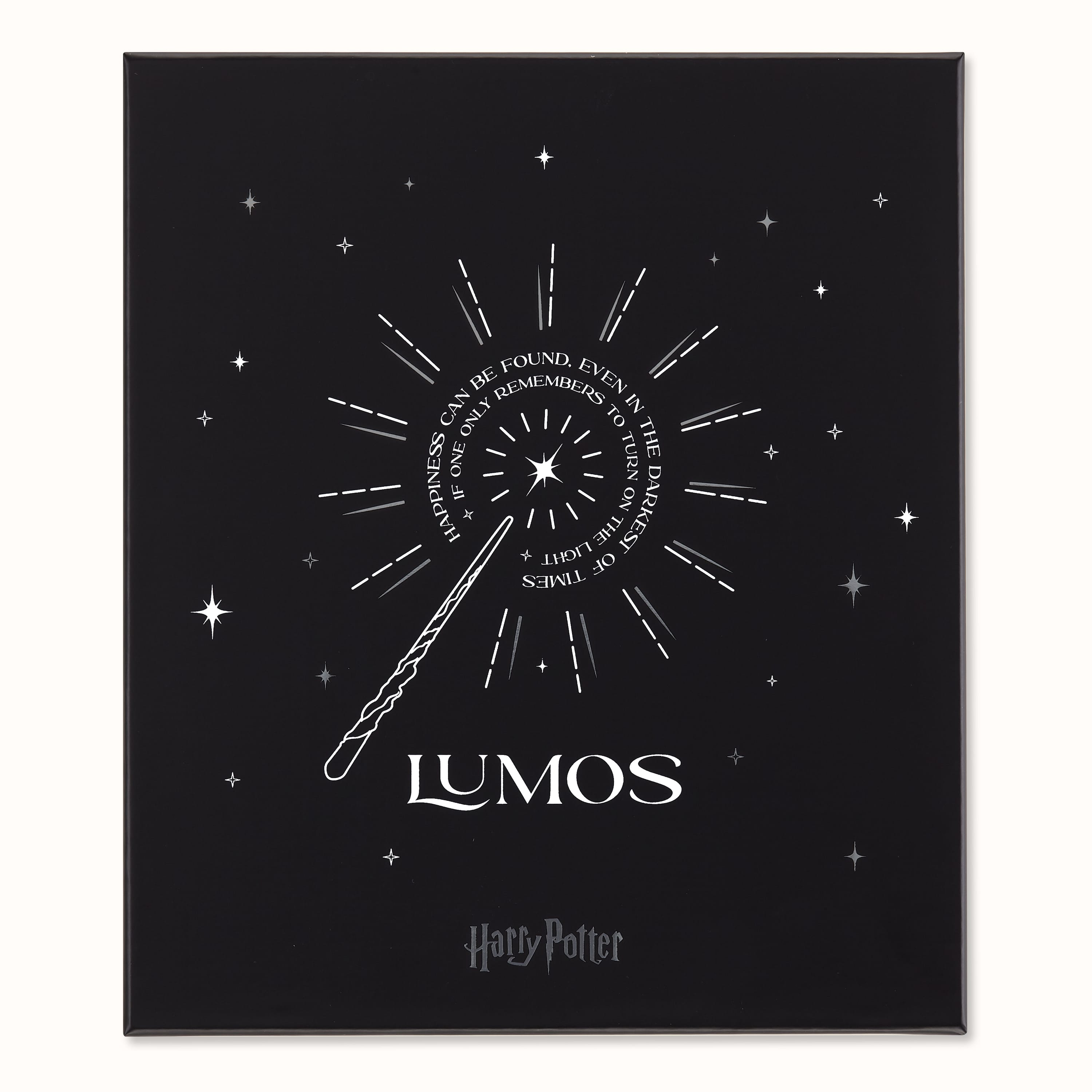 Wizarding World Harry Potter Limited Edition Bundle Gift Set with ...