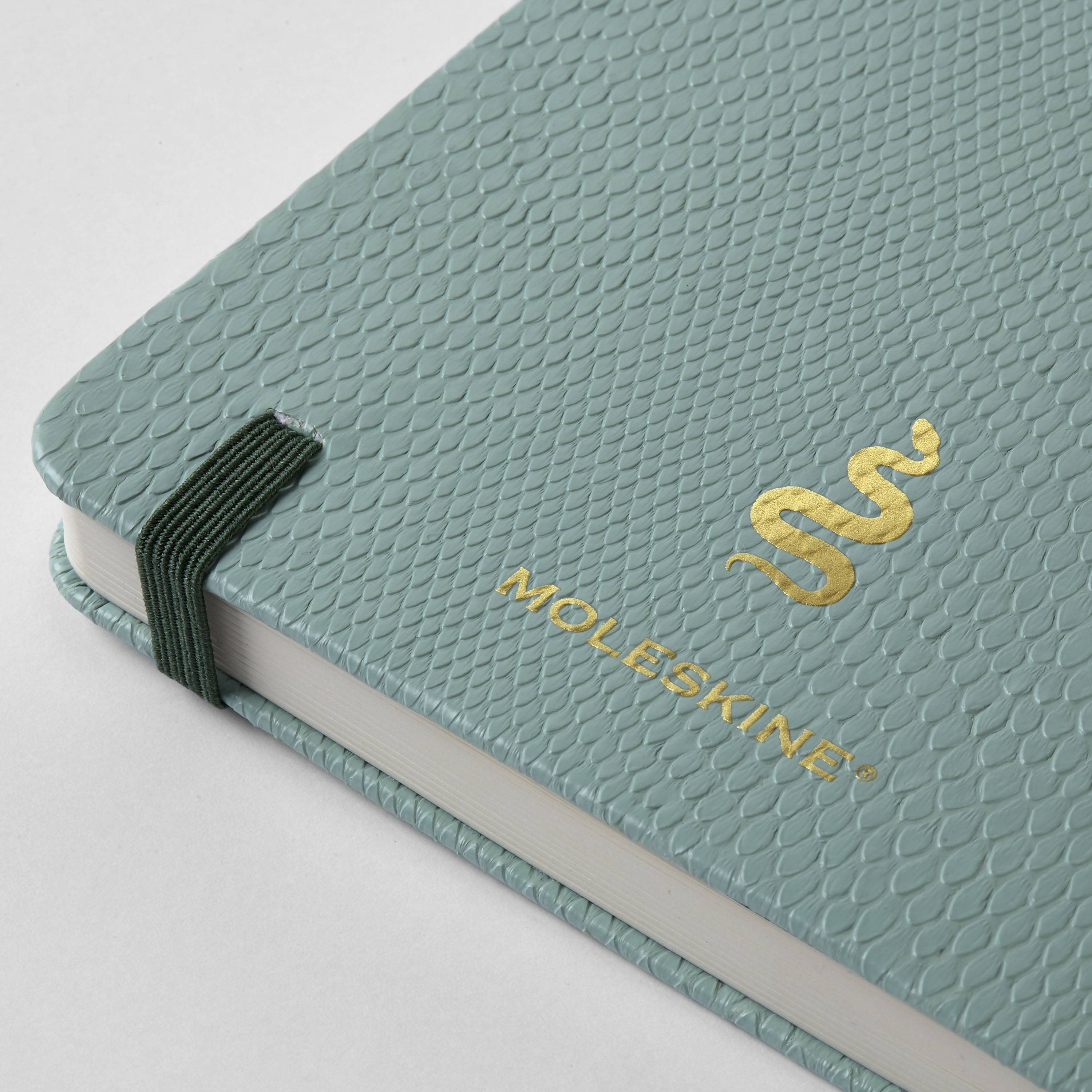 Notebooks with Cover, Color and Size Alternatives | Moleskine | Moleskine