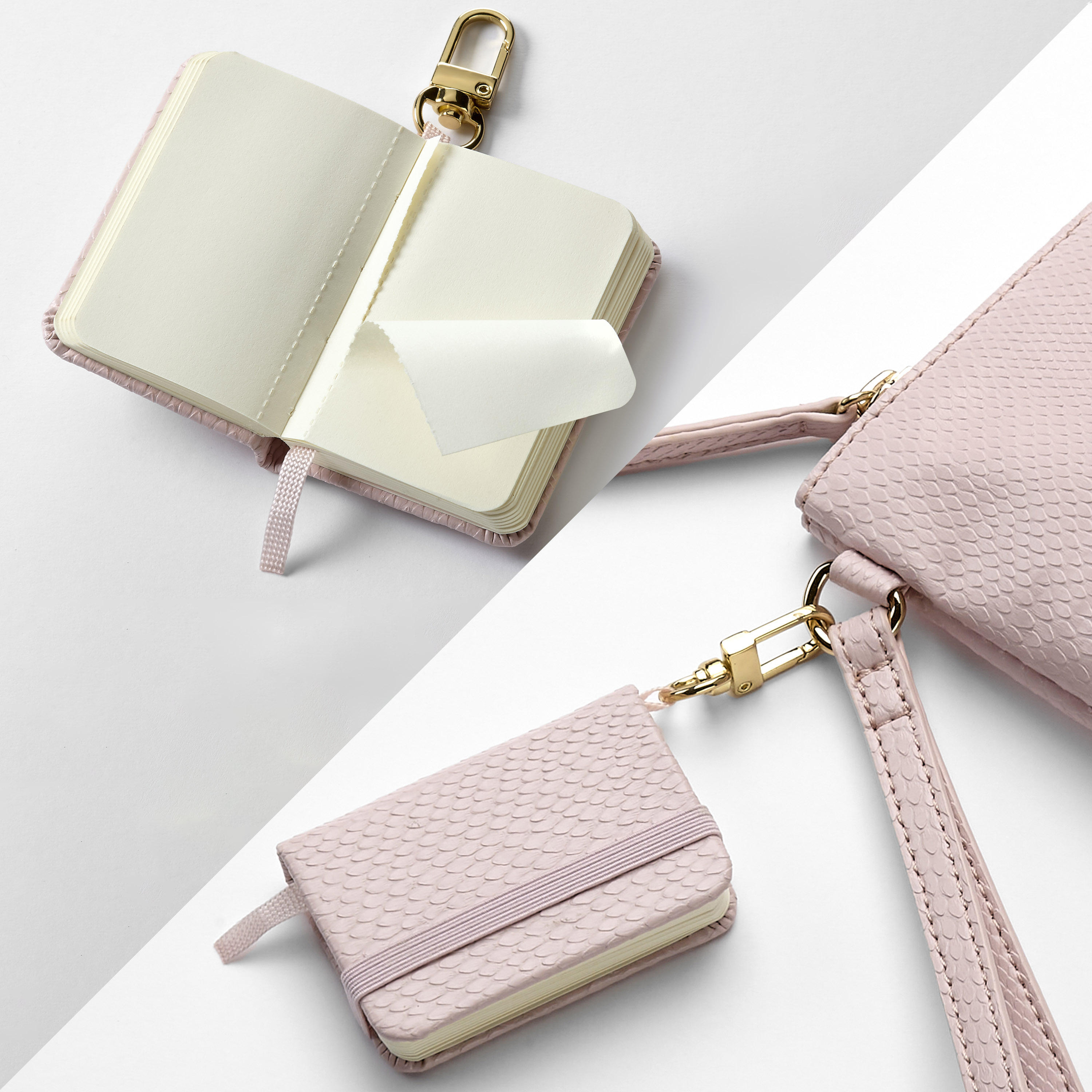 Discover the Sakura Collection 2026 | Moleskine