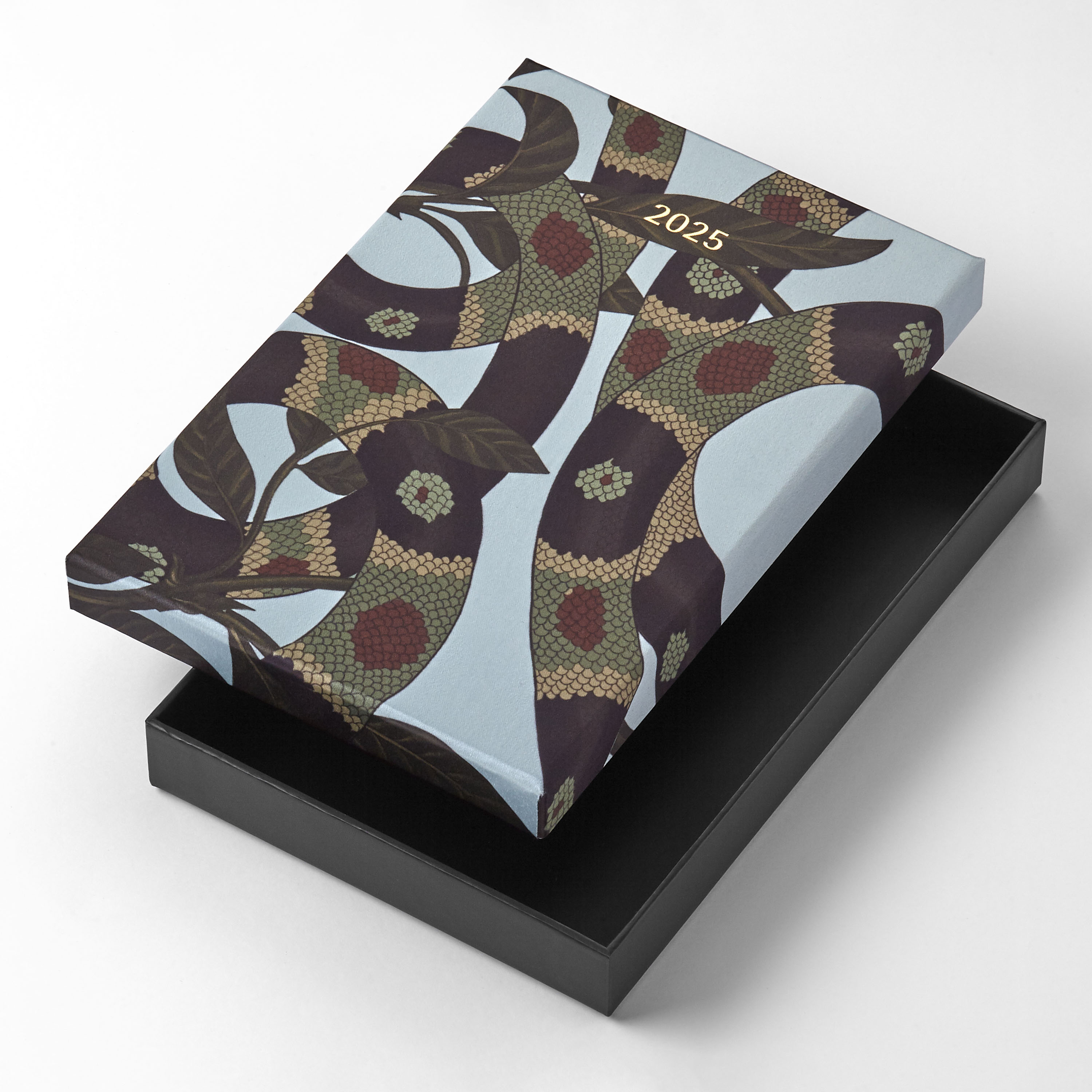 Planners 2025-2026 : Discover Our Range of Options | Moleskine | Moleskine